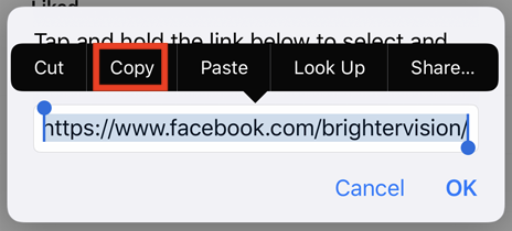 How Do I Find the URL for My Facebook Business Page? – Brighter Vision ...